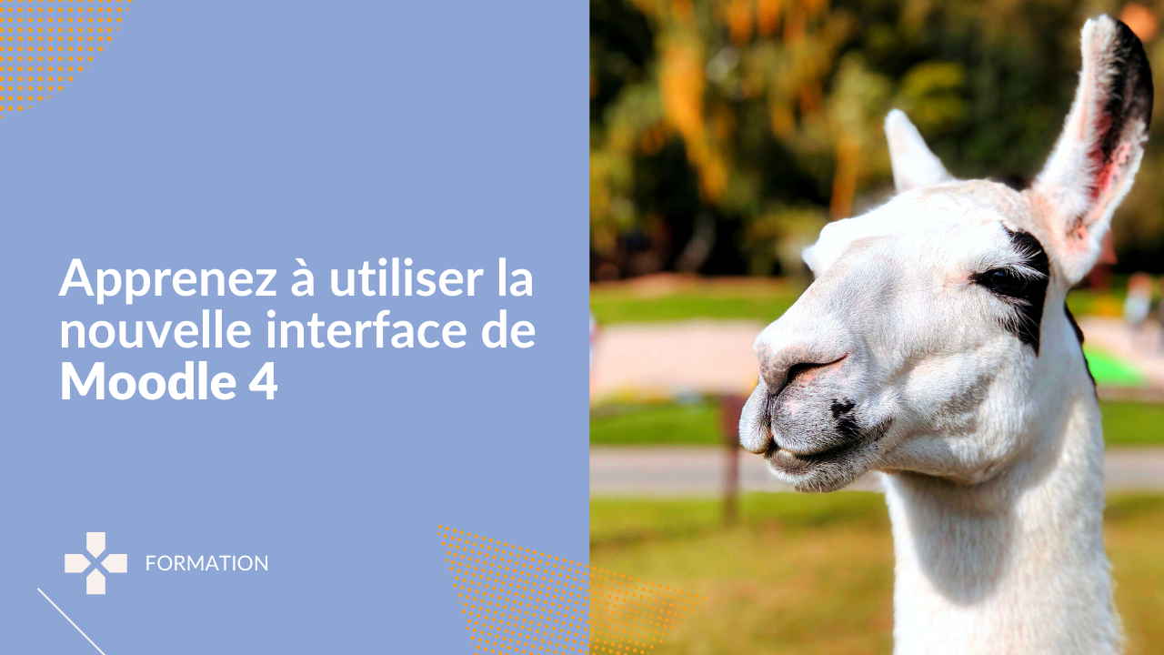 Moodle 4 : une navigation améliorée pour une meilleure expérience de ...